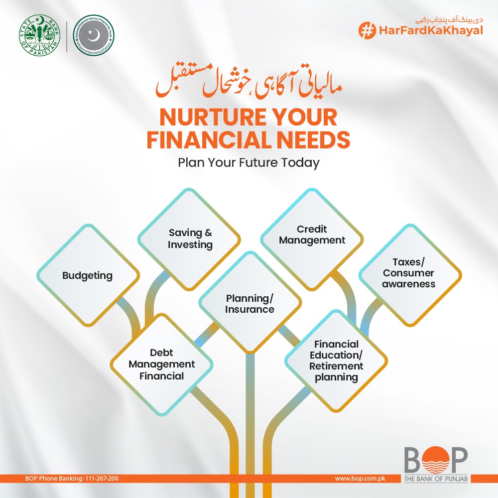 National Financial Literacy Program NFLP